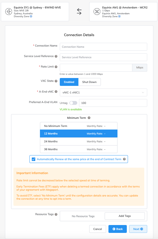 Types of vNIC Connections - Megaport Documentation